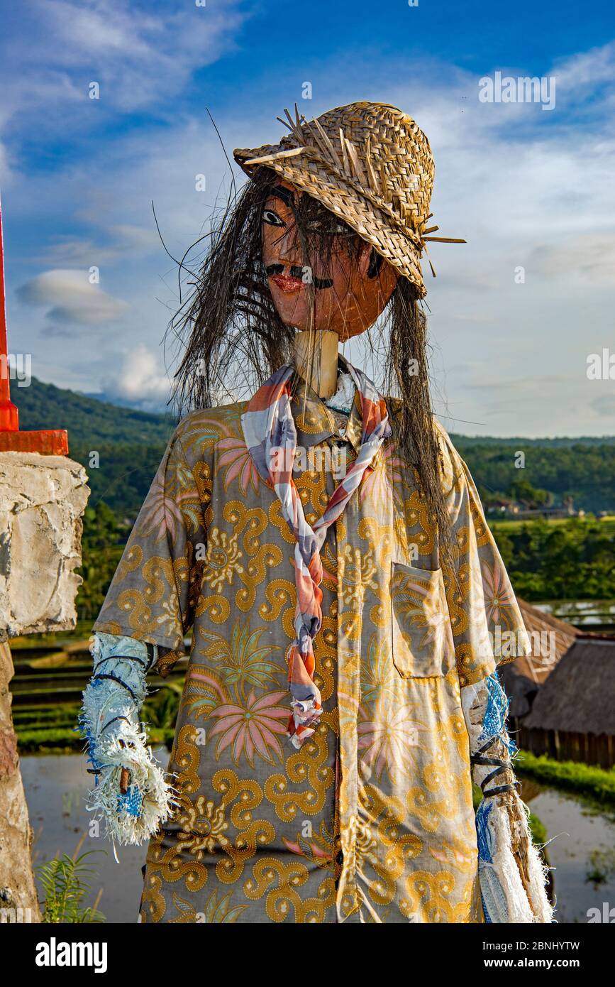 Asian scarecrow hi-res stock photography and images - Alamy