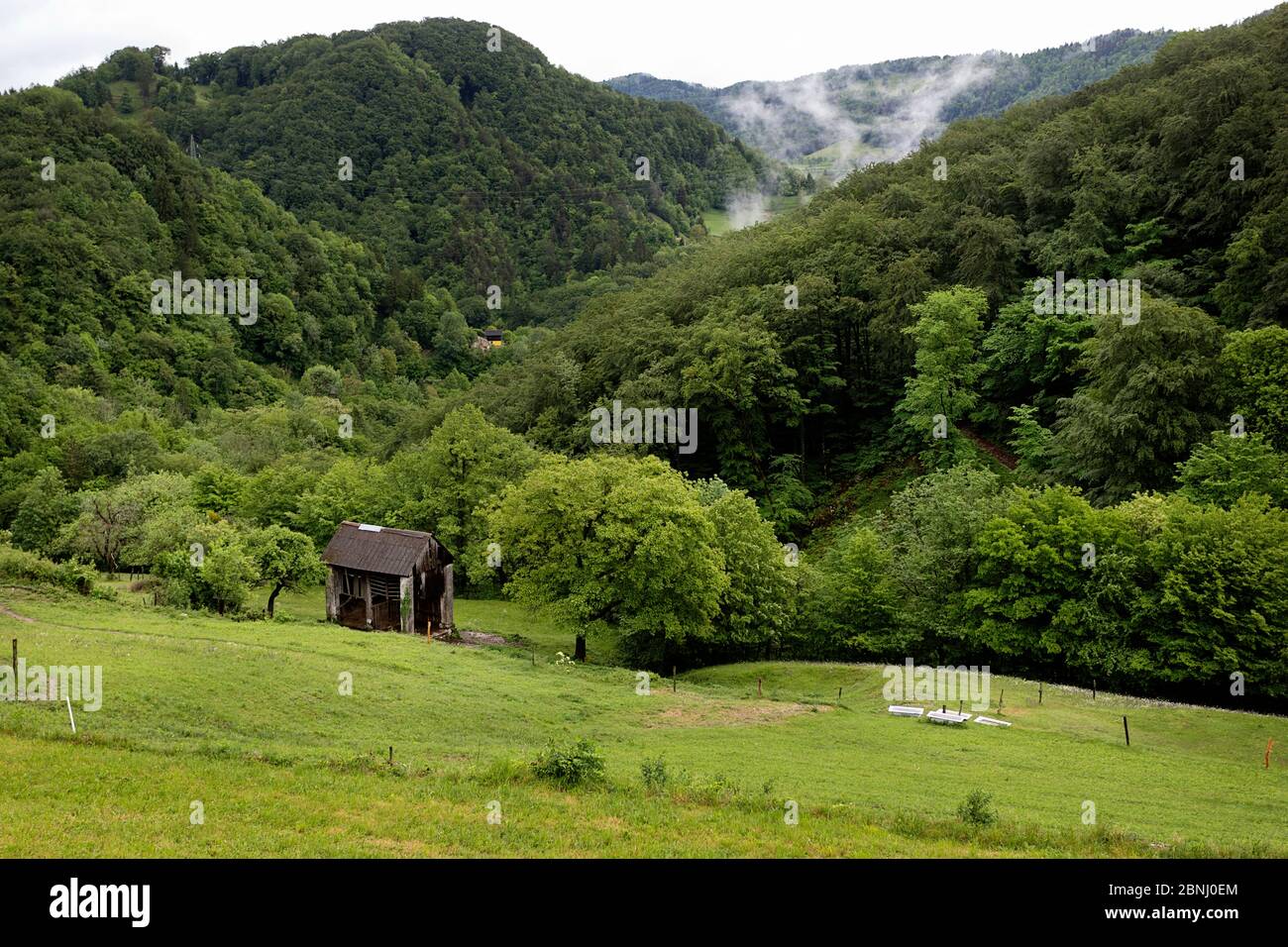 Old chalet with orchard hi-res stock photography and images - Alamy