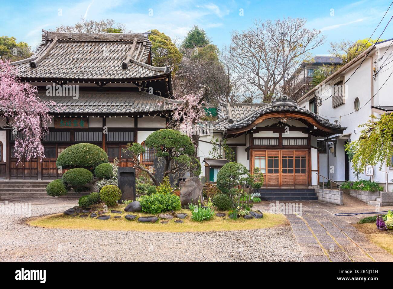 tokyo, japan - march 30 2020: Springtime view of Seiunzenji zen temple ...