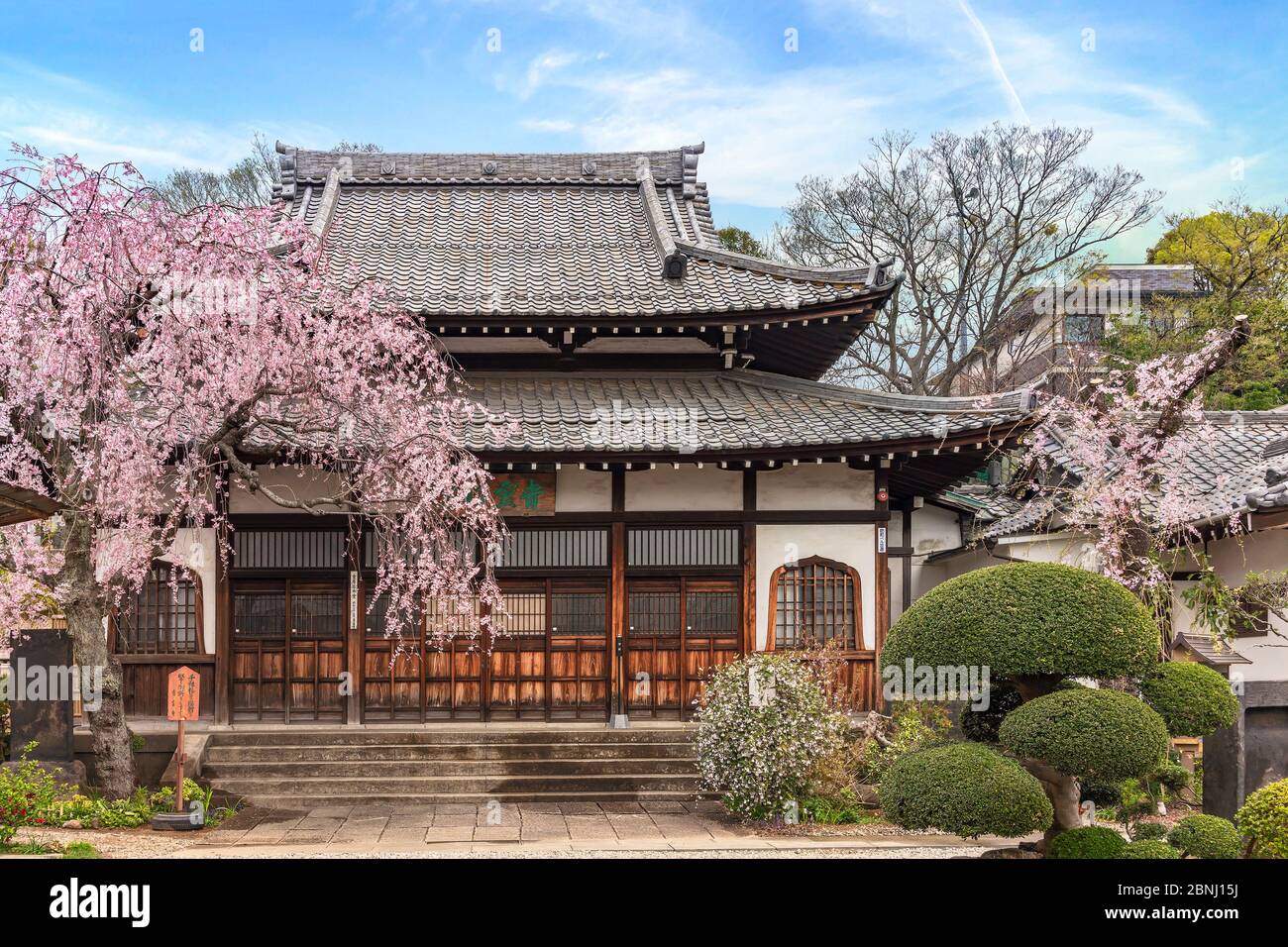 tokyo, japan - march 30 2020: Springtime view of Seiunzenji zen temple ...