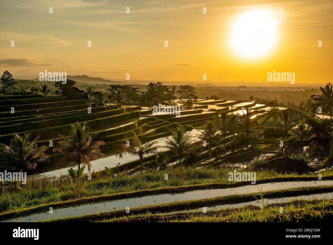 Golden rice terraces hi-res stock photography and images - Alamy
