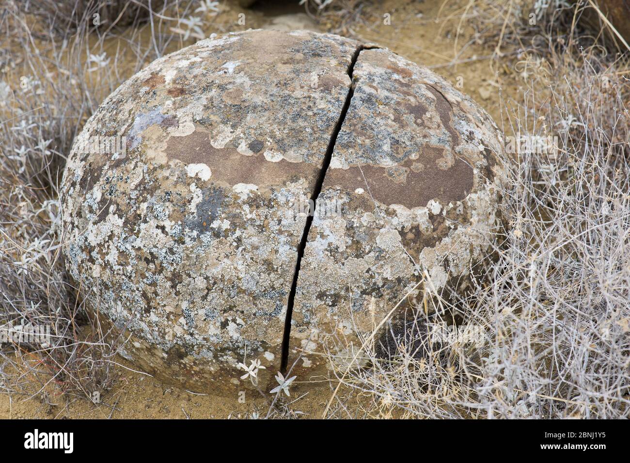 Rounded boulder hi-res stock photography and images - Alamy