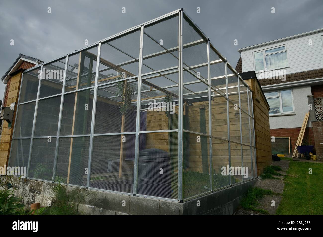 Bat flight cage for testing the flight ability of recovering bats ...
