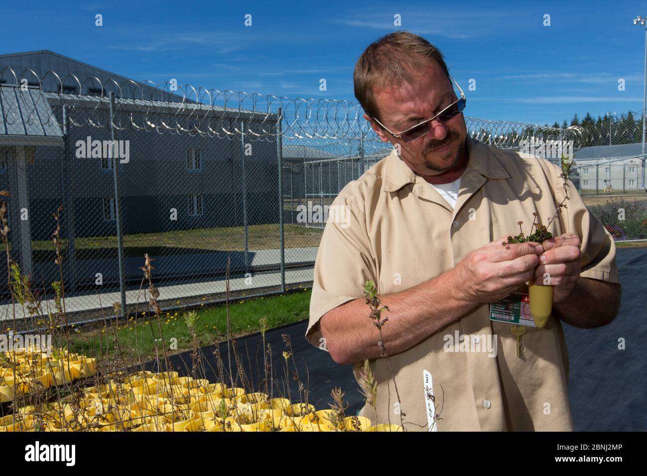 Native plant center hi-res stock photography and images - Alamy