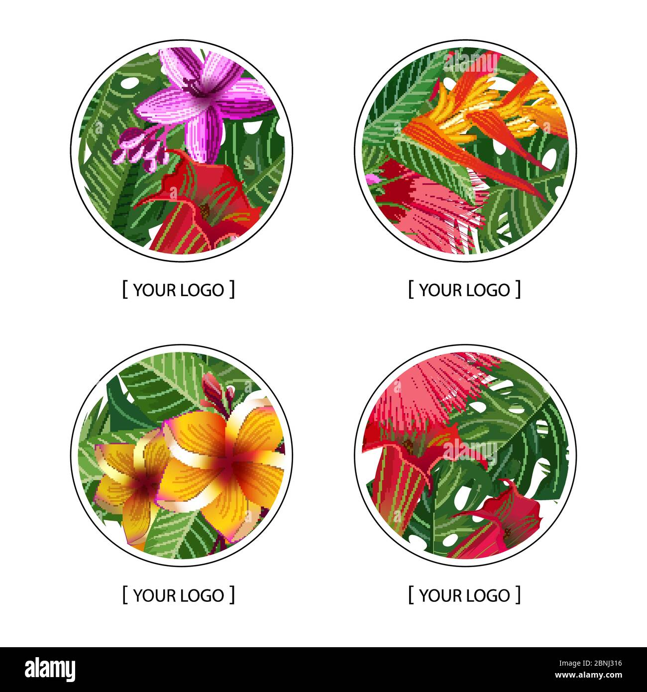 Vector tropical palm leaves and exotic flower elements round logo ...