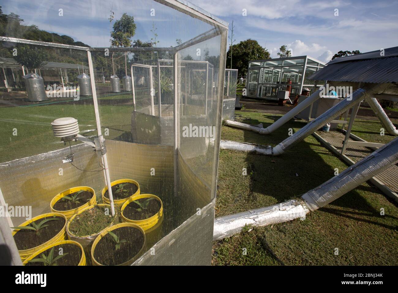 Physiological experiments hi-res stock photography and images - Alamy