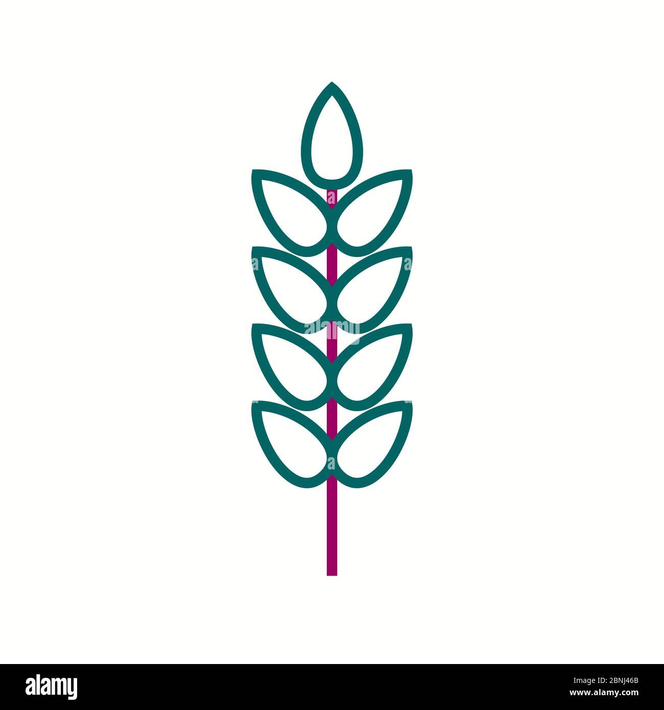 Beautiful Wheat Line Vector Icon Stock Vector Image & Art - Alamy