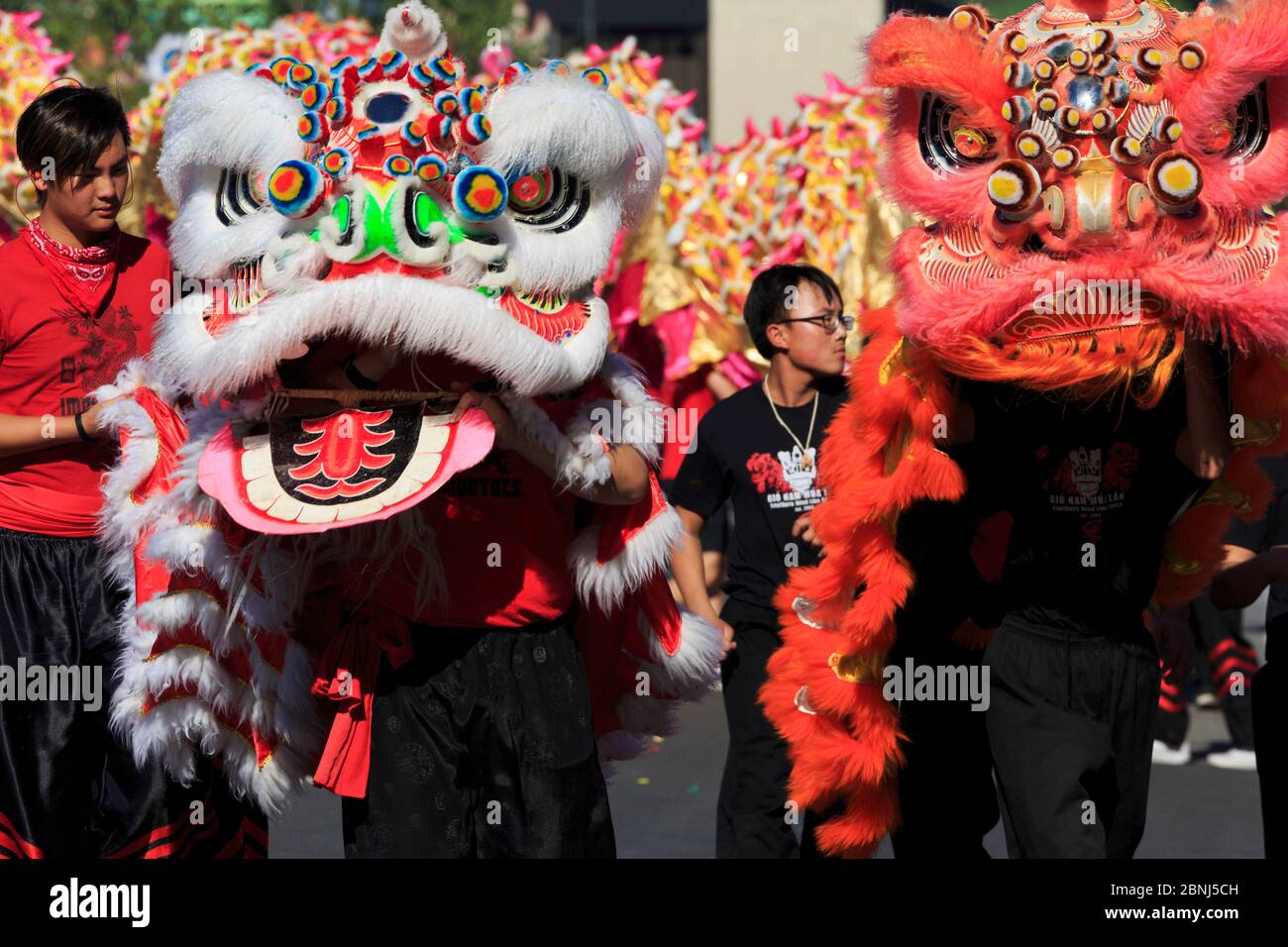 Golden Dragon Parade, Chinatown, Los Angeles, California, United States ...
