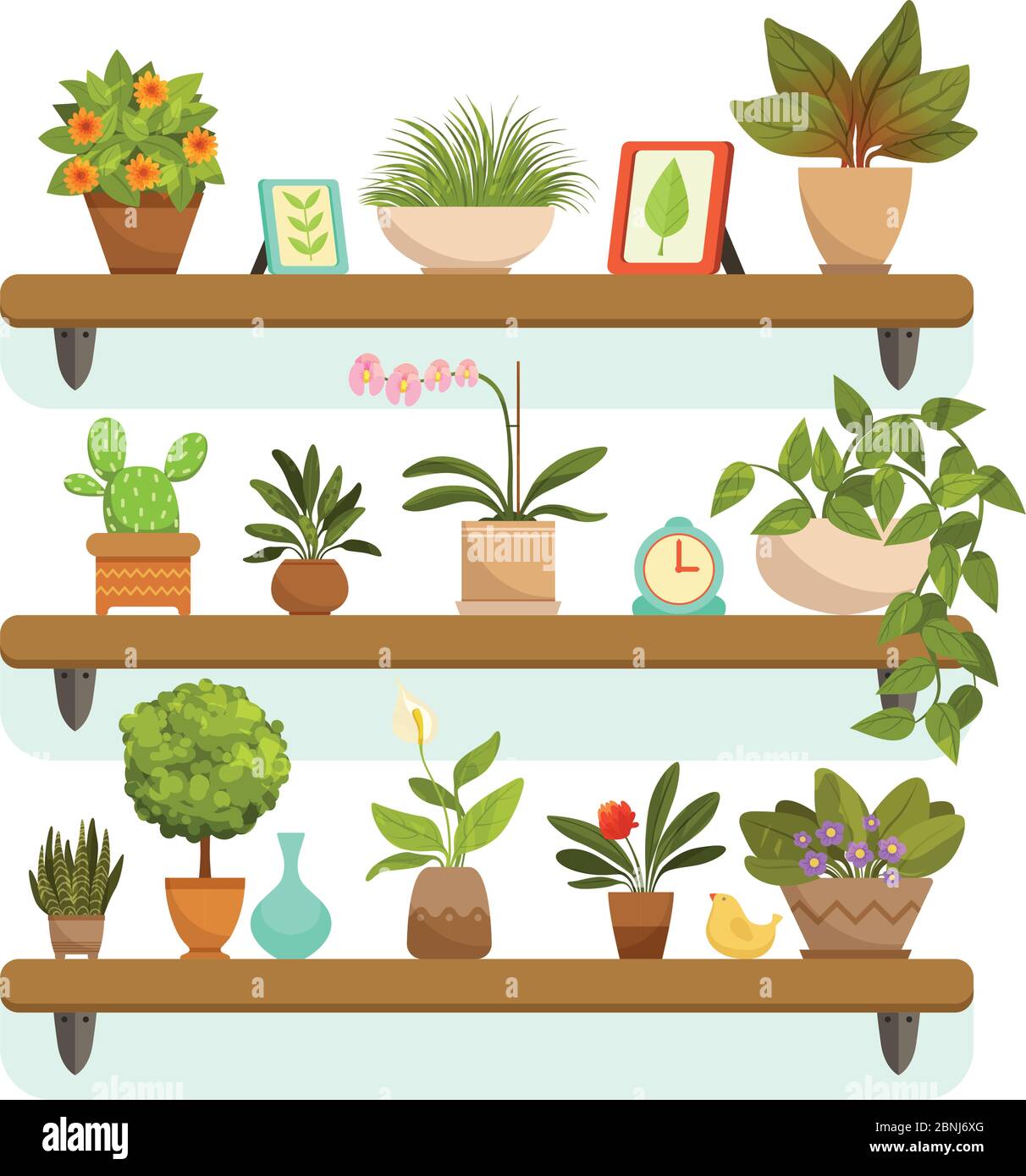 White shelves with flowers Stock Vector Images - Alamy