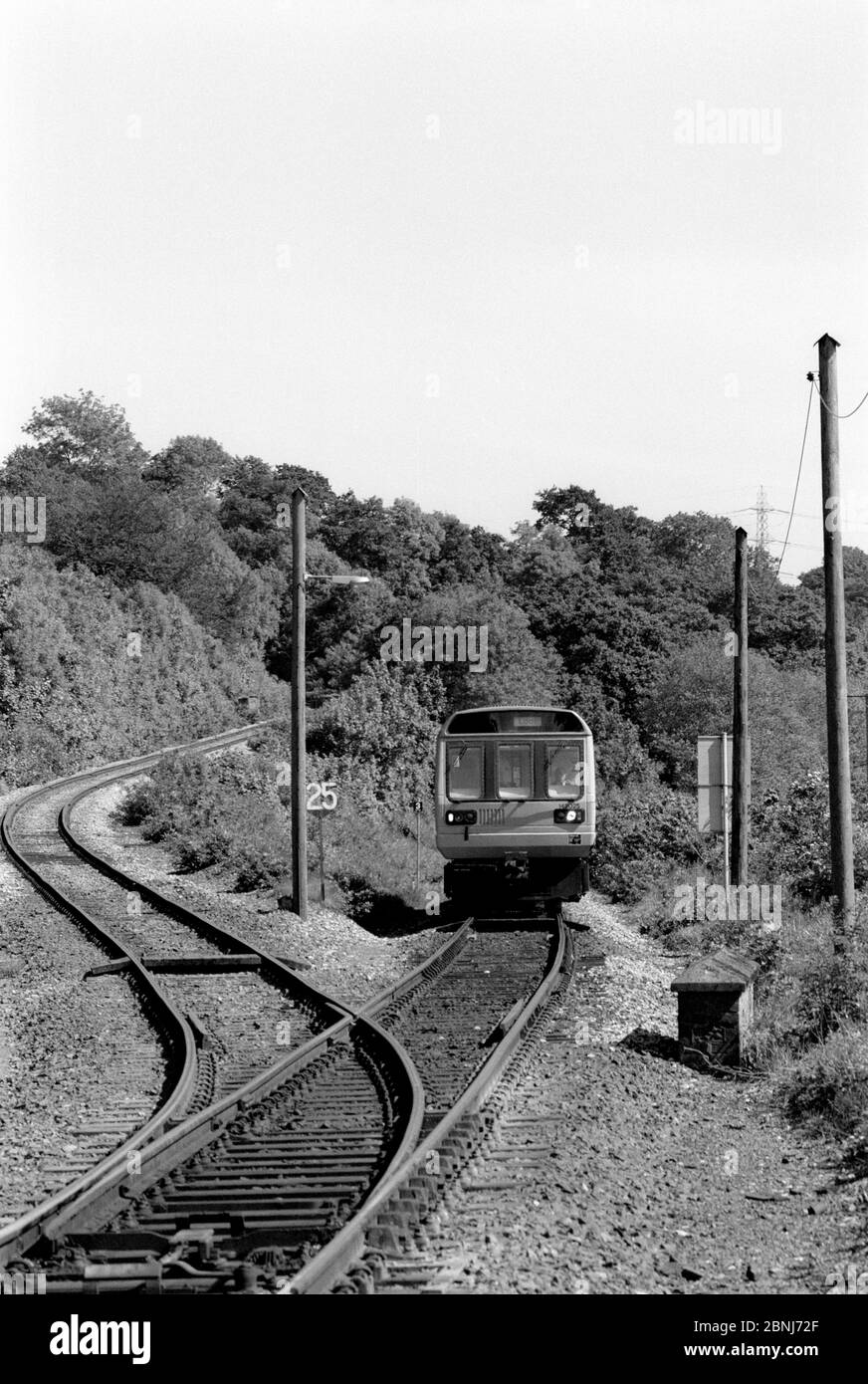 Class 142 diesel train at Coombe Junction on the Looe branch line ...