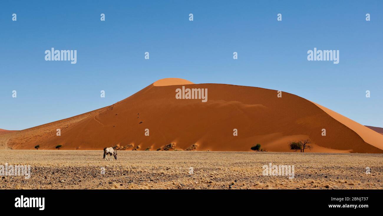 desert scene landscape Stock Photo - Alamy