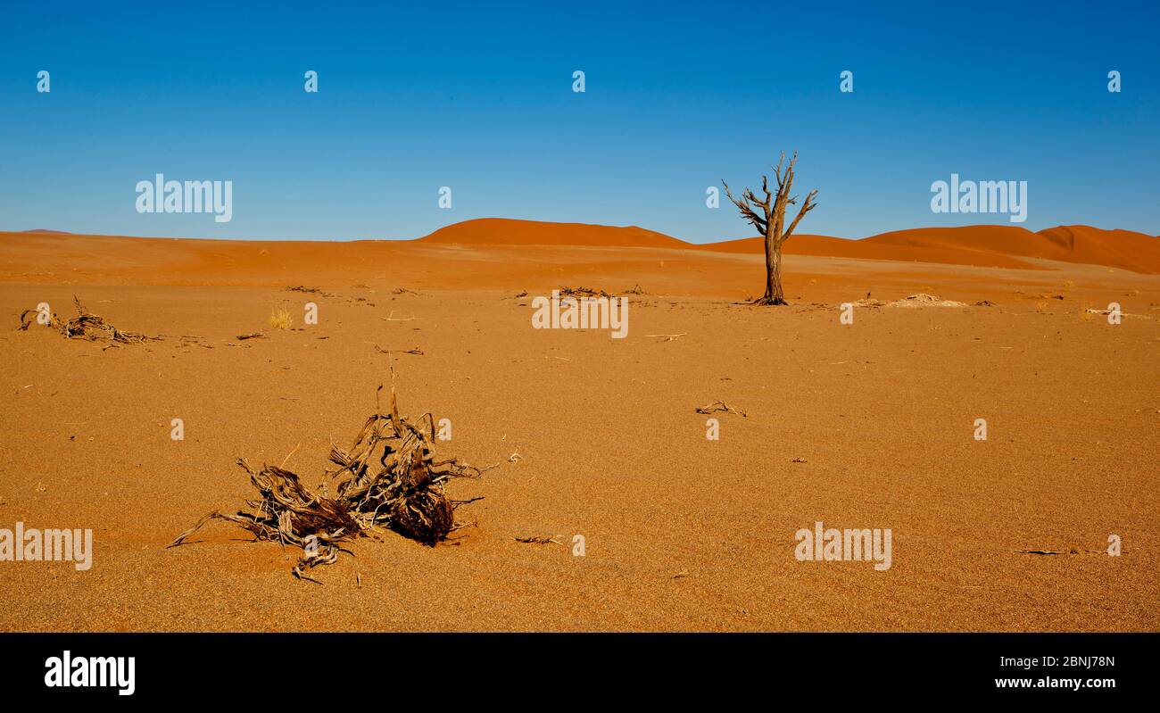desert scene landscape Stock Photo - Alamy