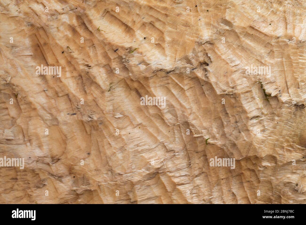 Bite marks hi-res stock photography and images - Alamy