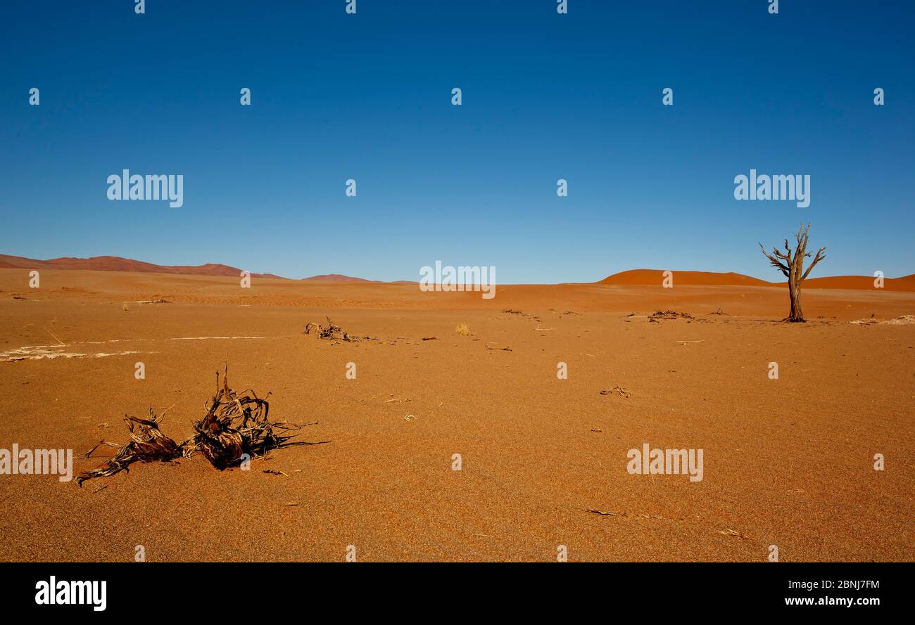 desert scene landscape Stock Photo - Alamy