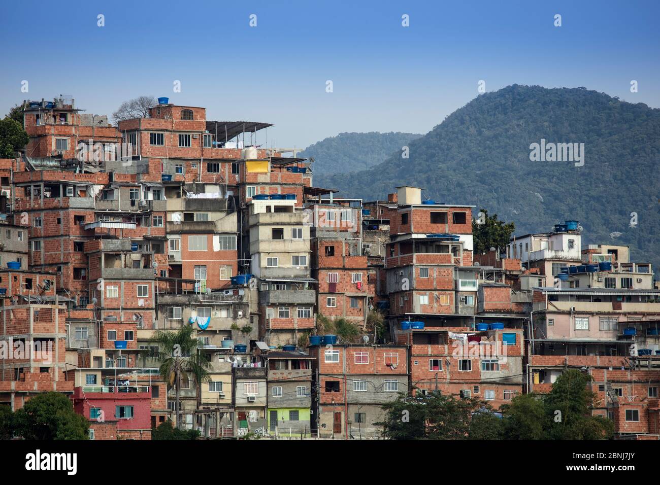 View of houses in the Cantagalo favela slum in Rio de Janeiro with the ...
