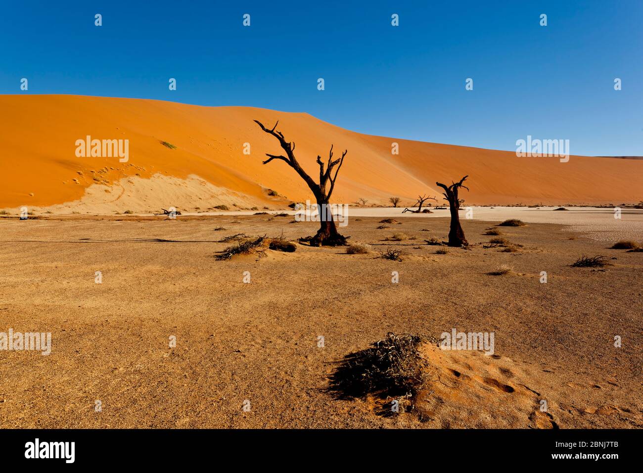 desert scene landscape Stock Photo - Alamy