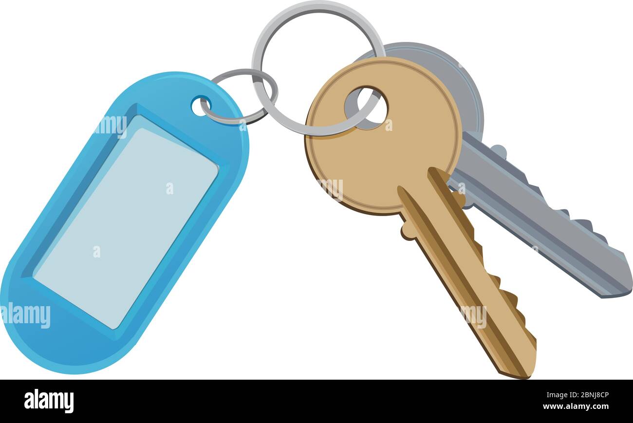 Key and keychain. Vector illustration isolate on white Stock Vector ...