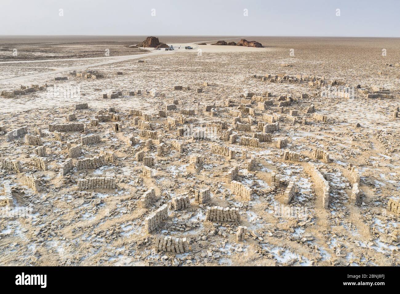 Blocks of salt extracted by miners in the Ahmed Ela Salt Plain, Dallol ...