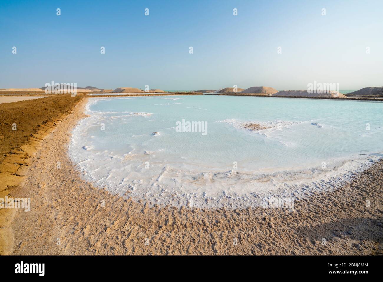 Salt deposit on water surface of Lake Afrera (Lake Afdera), Danakil ...