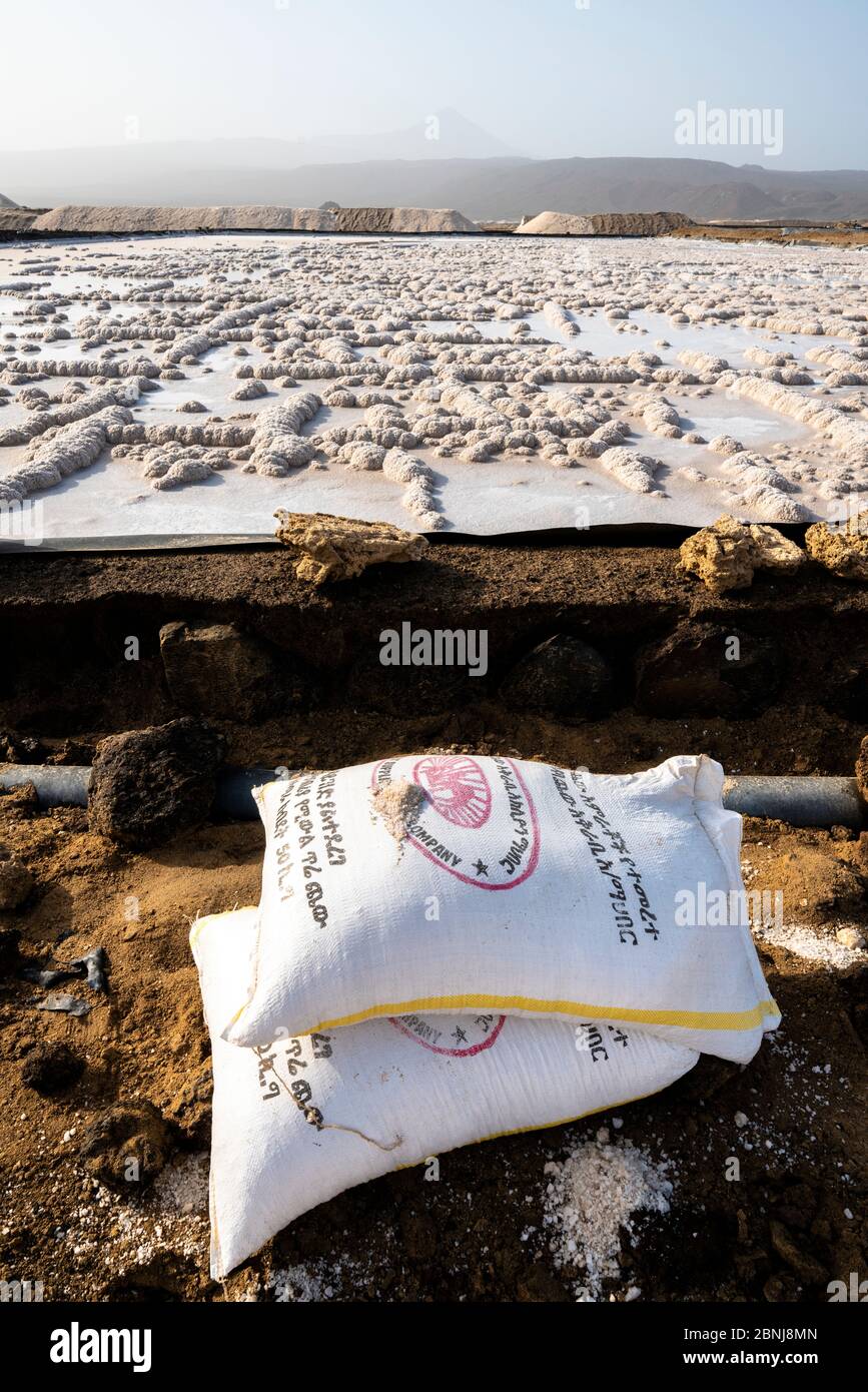 Salt bags and salt mine, Lake Afrera (Lake Afdera), Danakil Depression ...