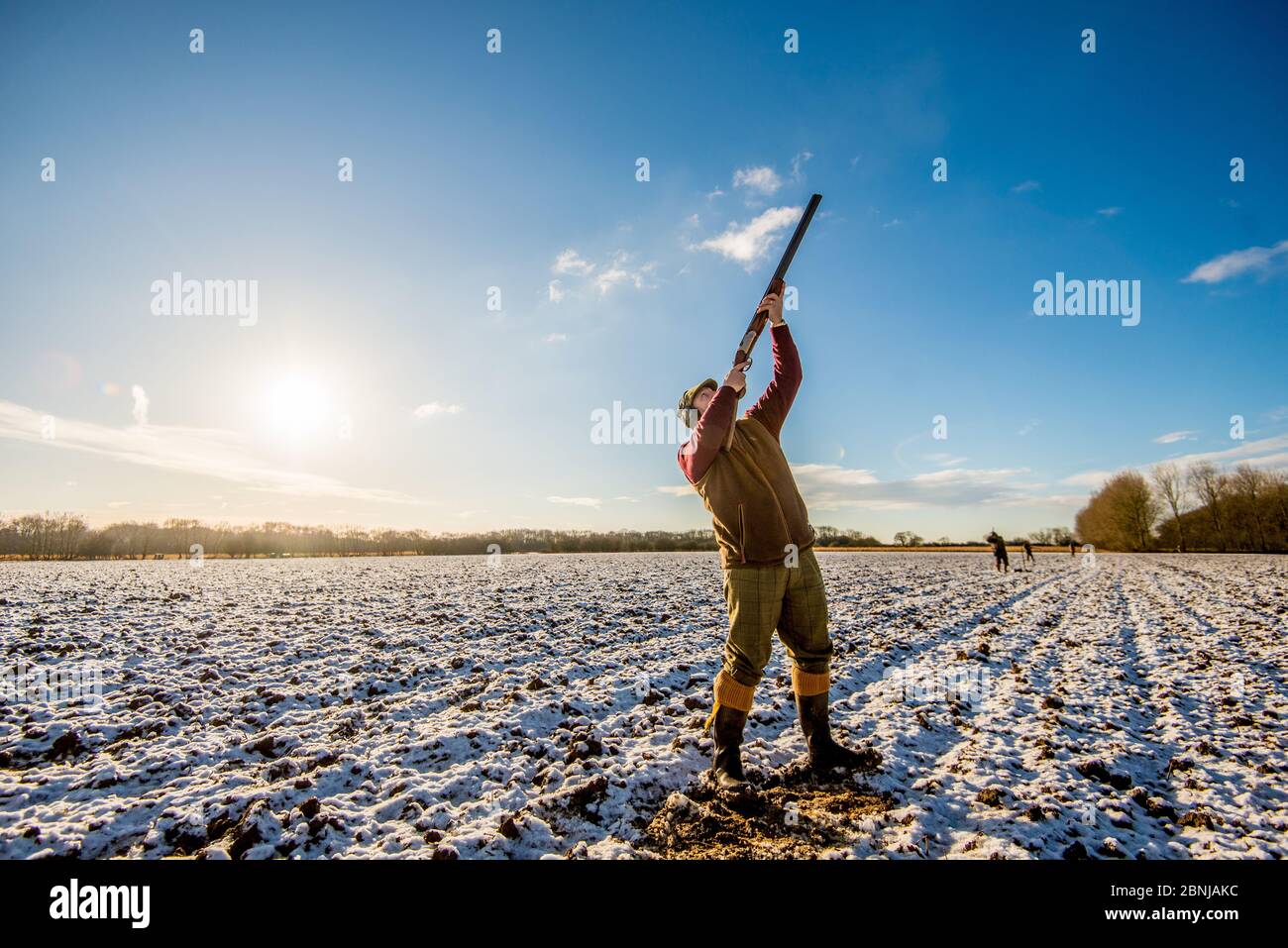 Landscape image of a gun on a frosty morning aiming at pheasants flying ...