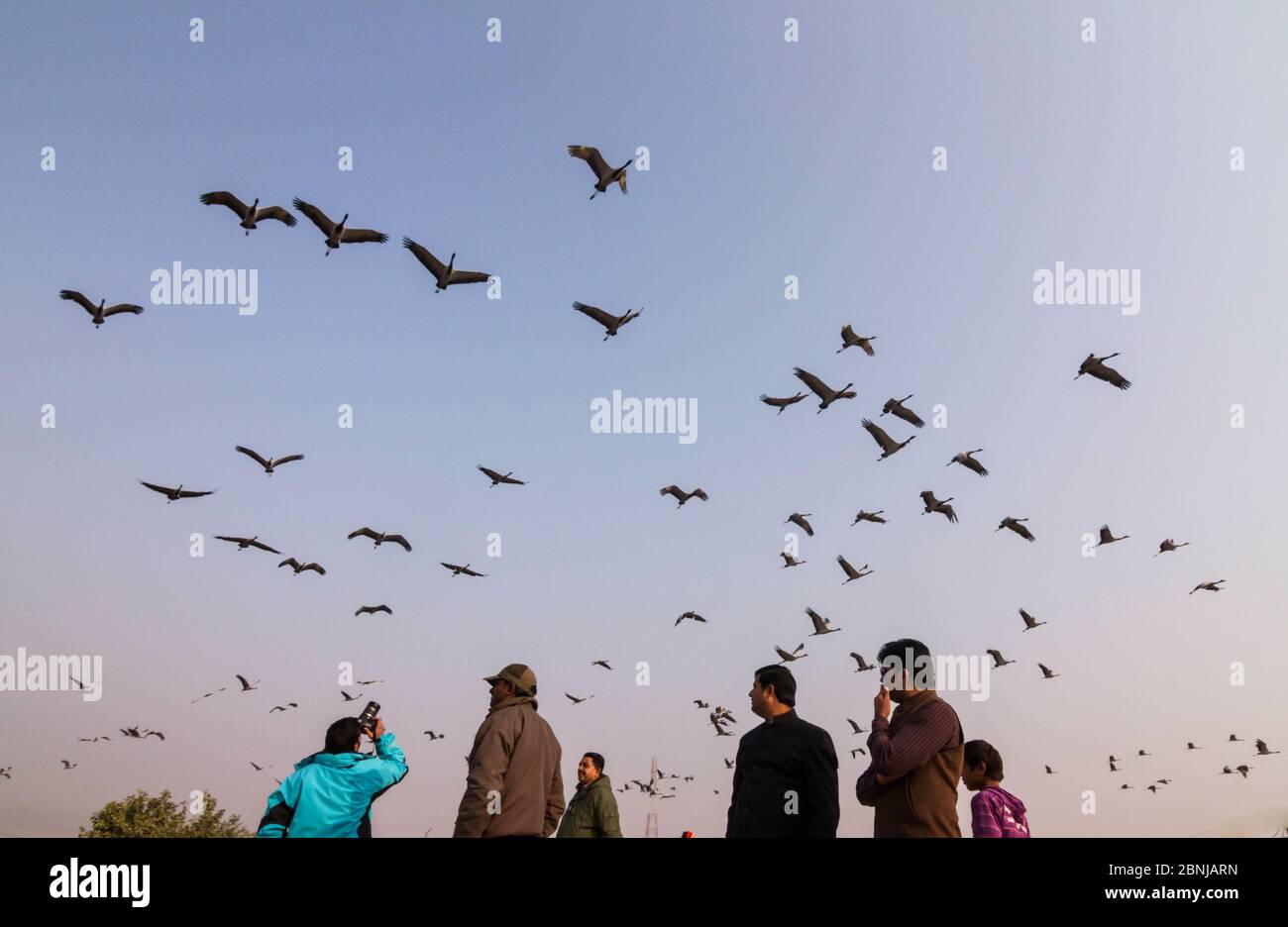 Watching birds fly overhead hi-res stock photography and images - Alamy