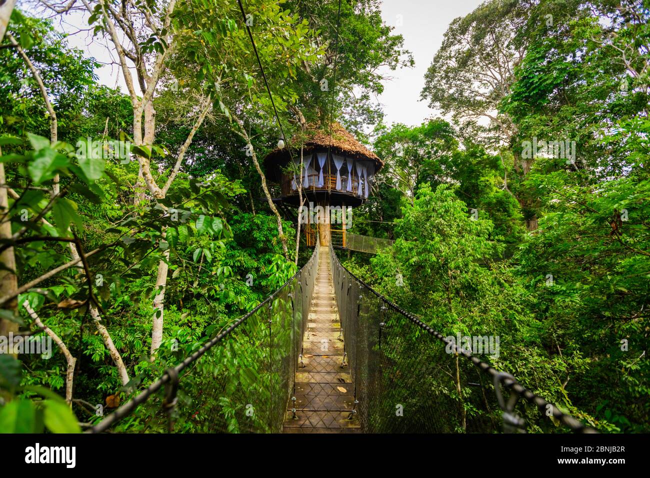 One of the tree houses at the Tree House Lodge in the Amazon Jungle ...