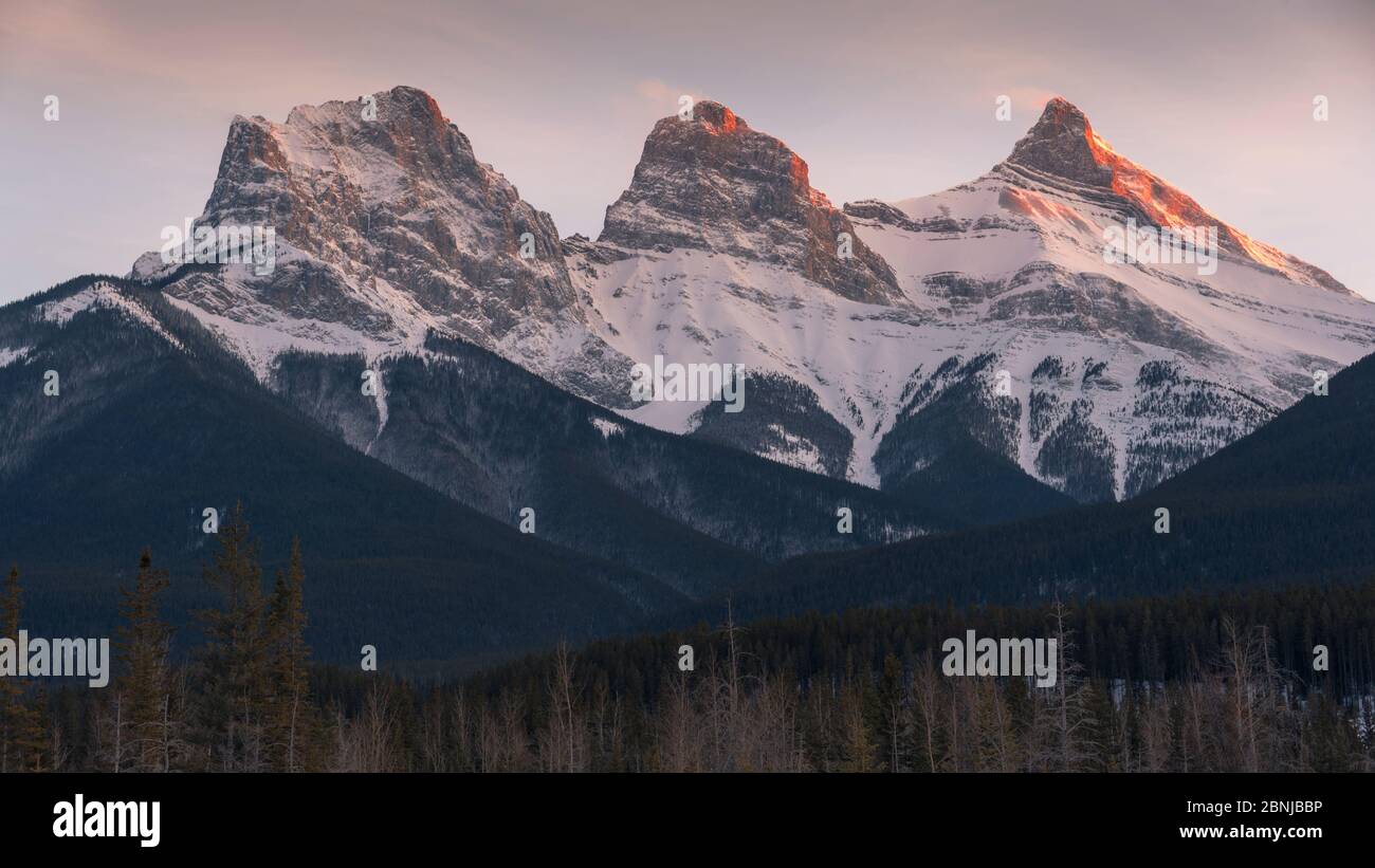 Evening light on the peaks of Three Sisters near Banff National Park, Canmore, Alberta, Canadian ...