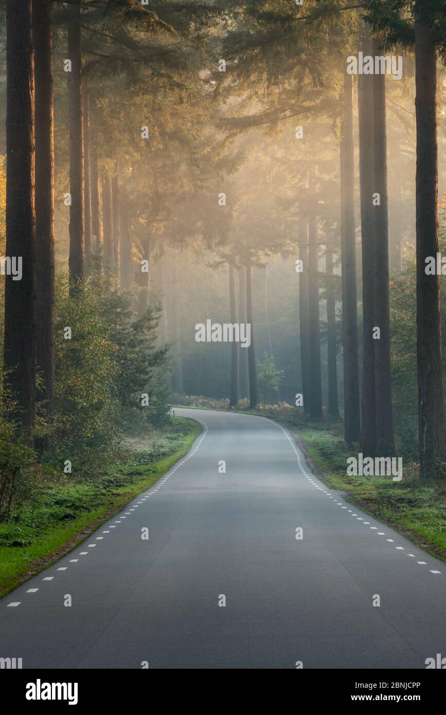 Empty scenery hi-res stock photography and images - Alamy