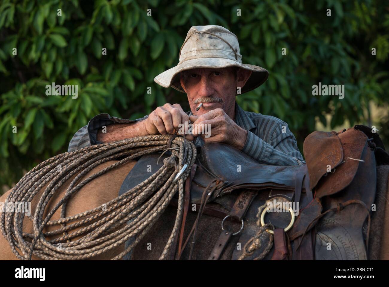 Tommy Kenyon, cowboy on Saddle Mountain (cattle) Ranch, Rurununi ...