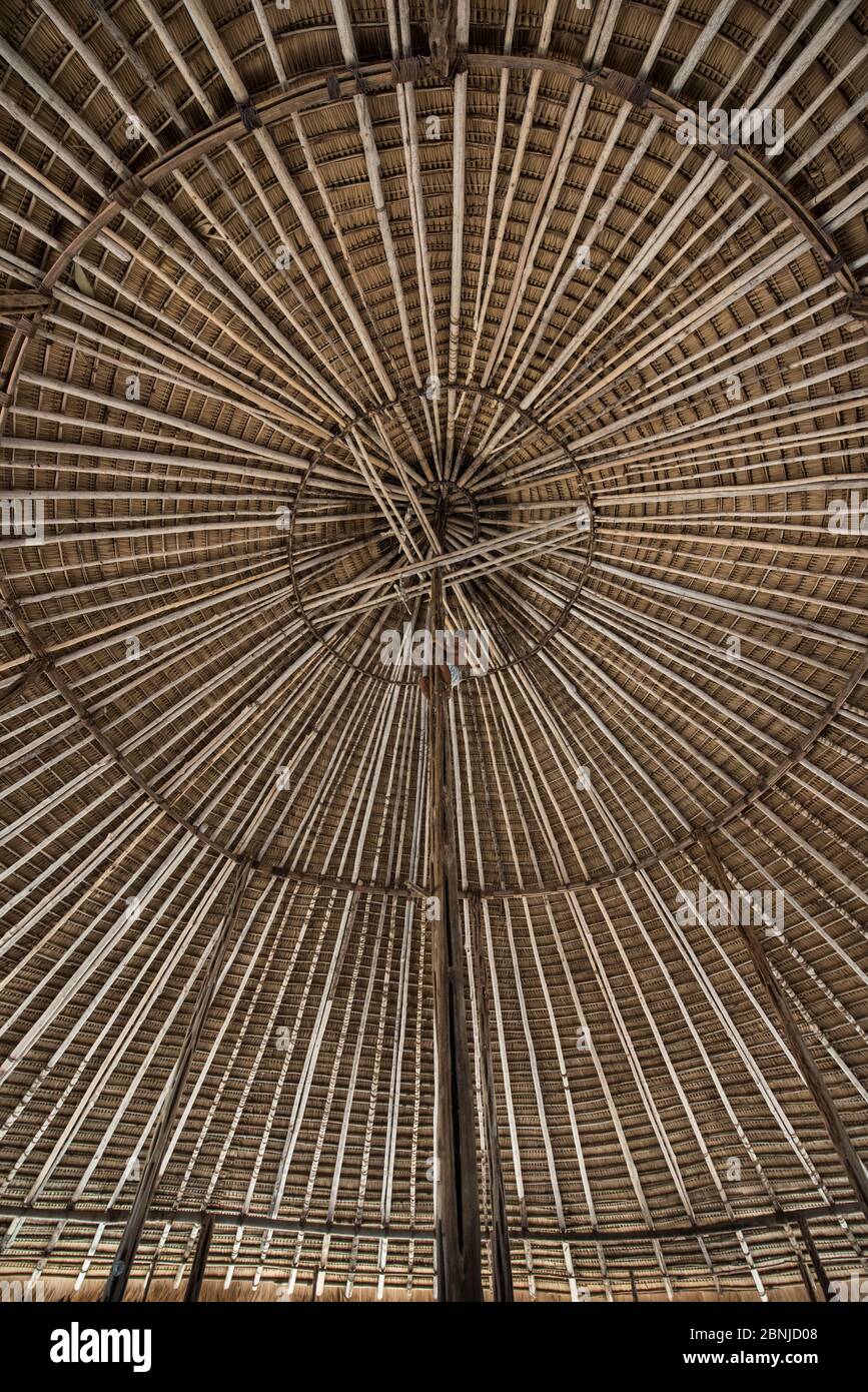 Inside roof detail of Amerindian Community centre (Benab) Wai Wai ...