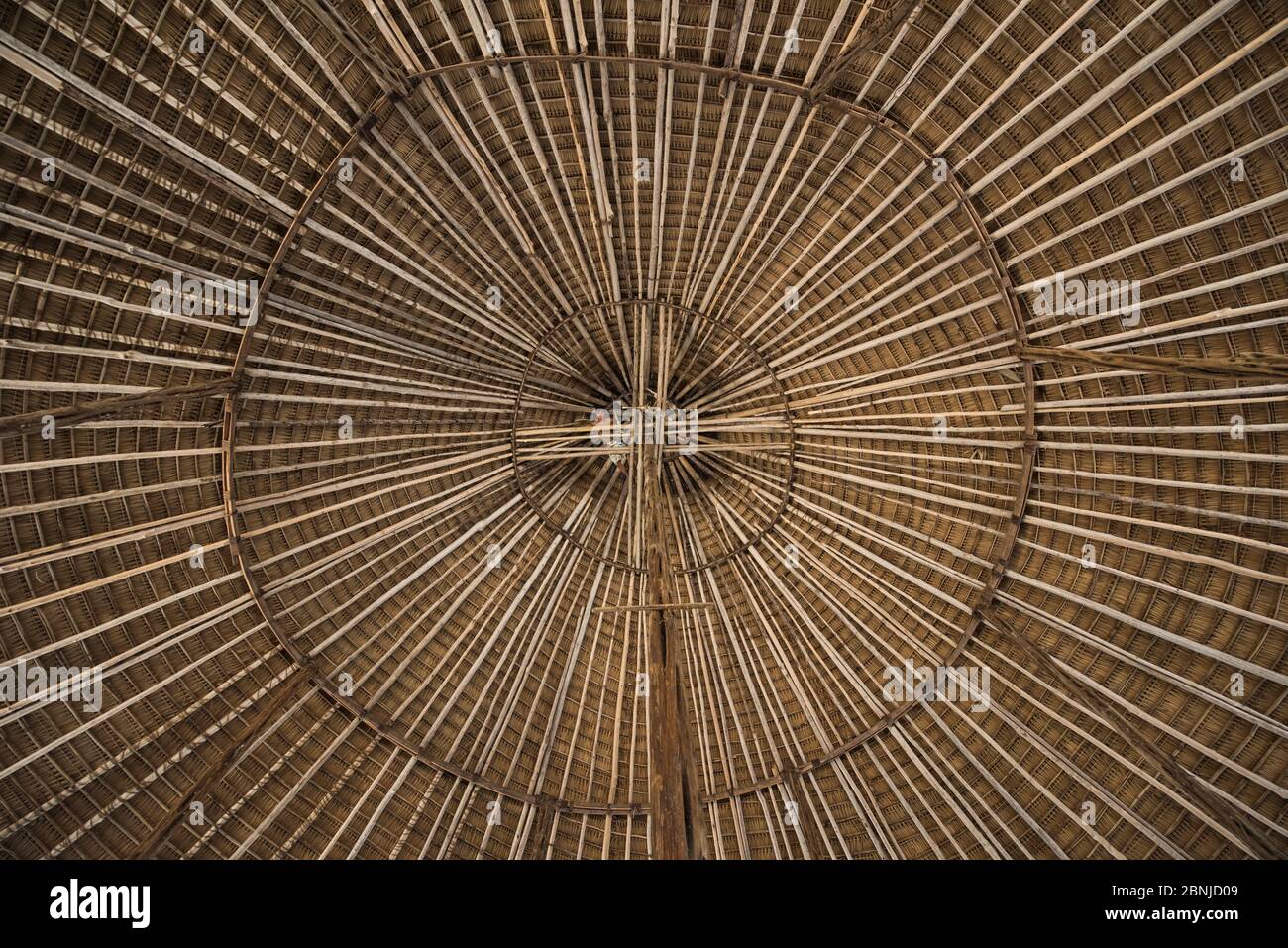 Inside roof detail of Amerindian Community centre (Benab) Wai Wai ...