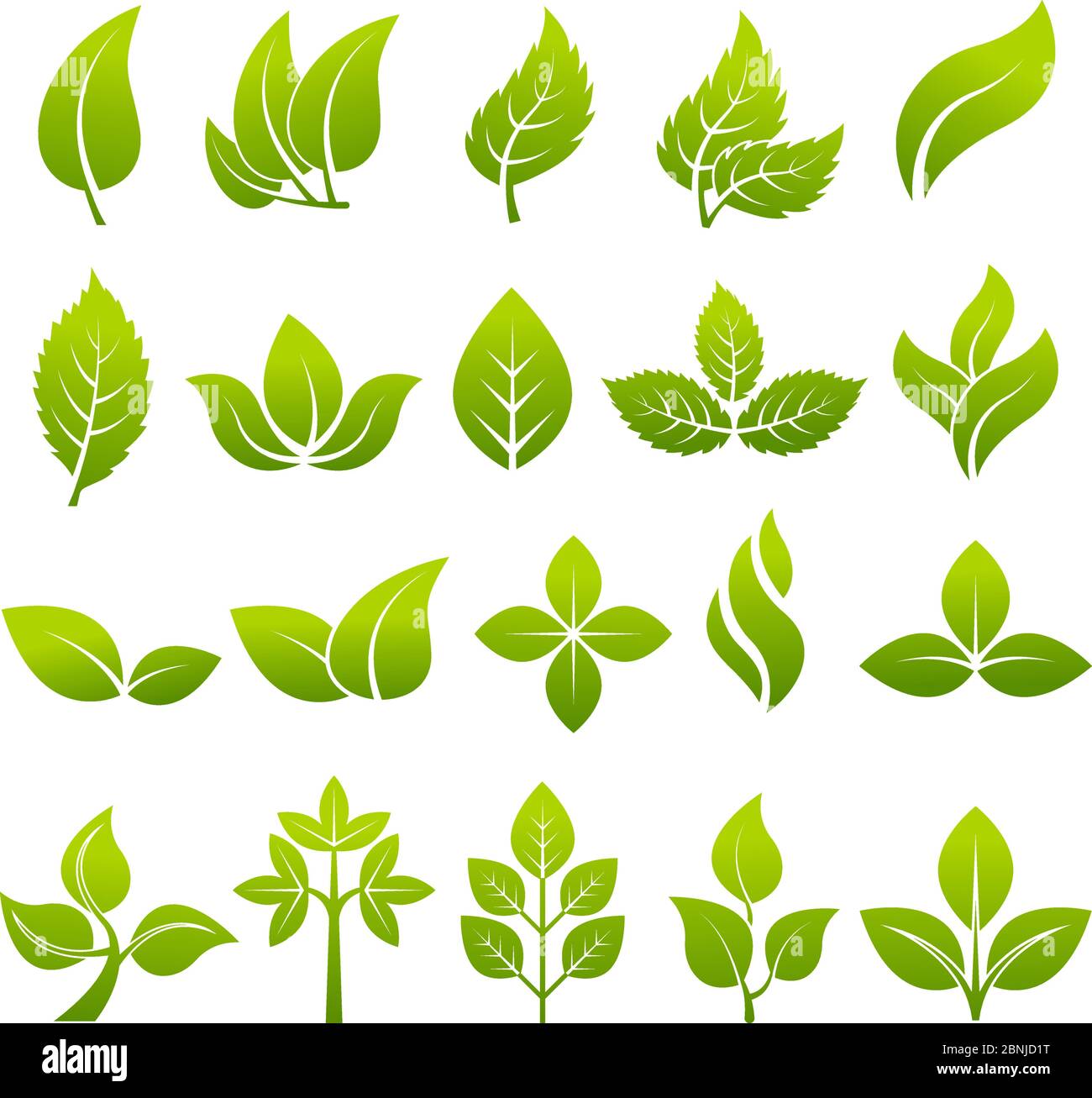 Illustrations of stylized plants to design logos Stock Vector Image & Art - Alamy