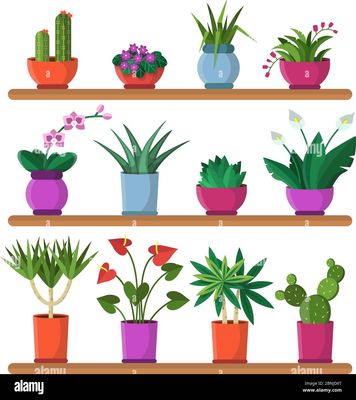 Shelf green plants on Stock Vector Images - Alamy