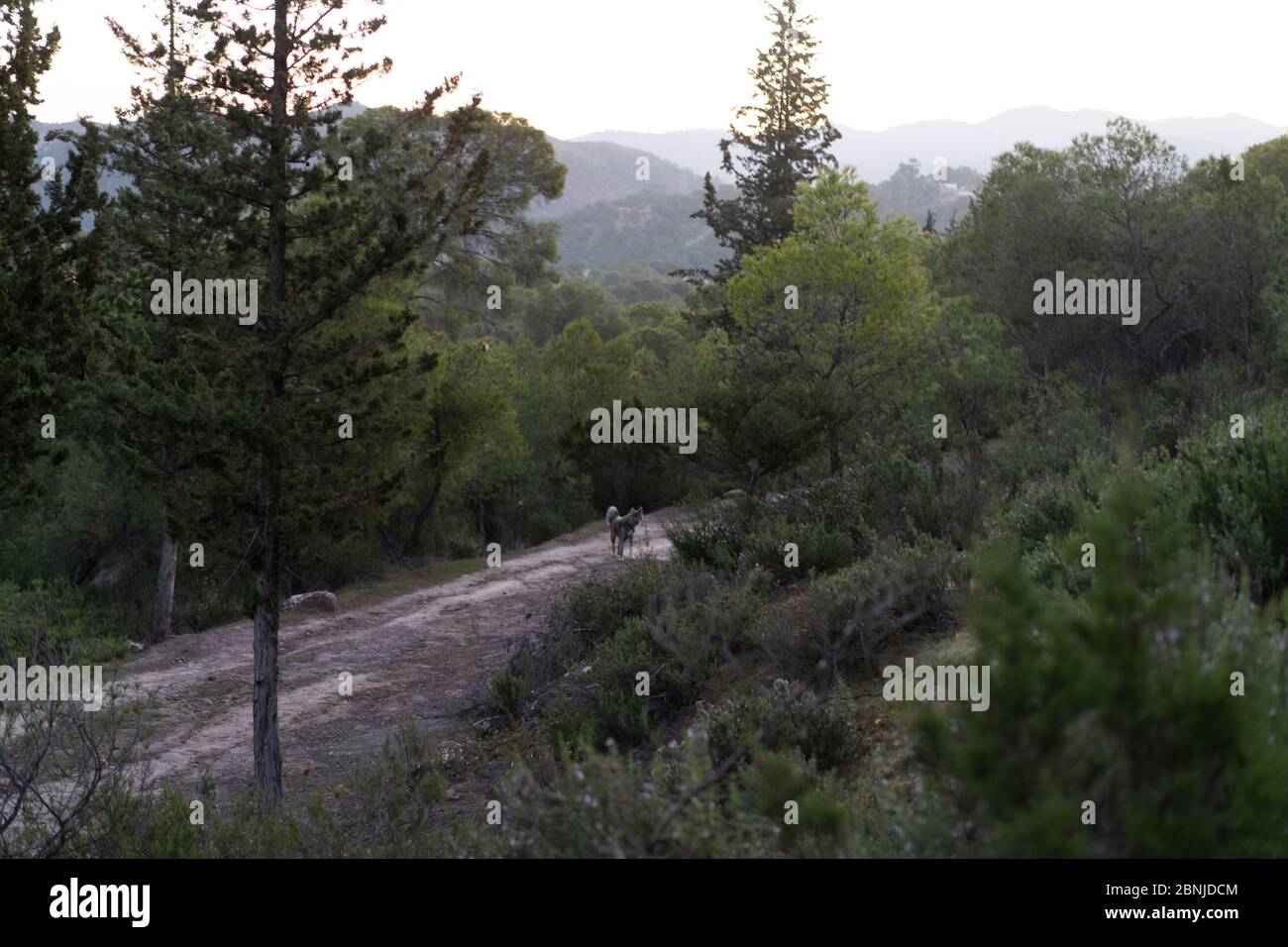 welcome to tunisia: El Feij, Le Kef Stock Photo - Alamy