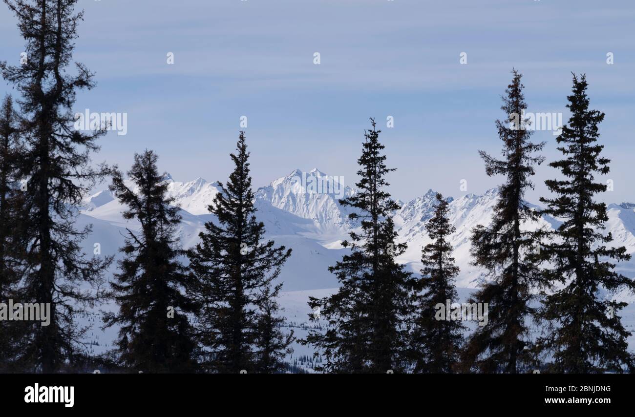 The snowy mountain ranges of Denali National Park in the winter, Alaska ...
