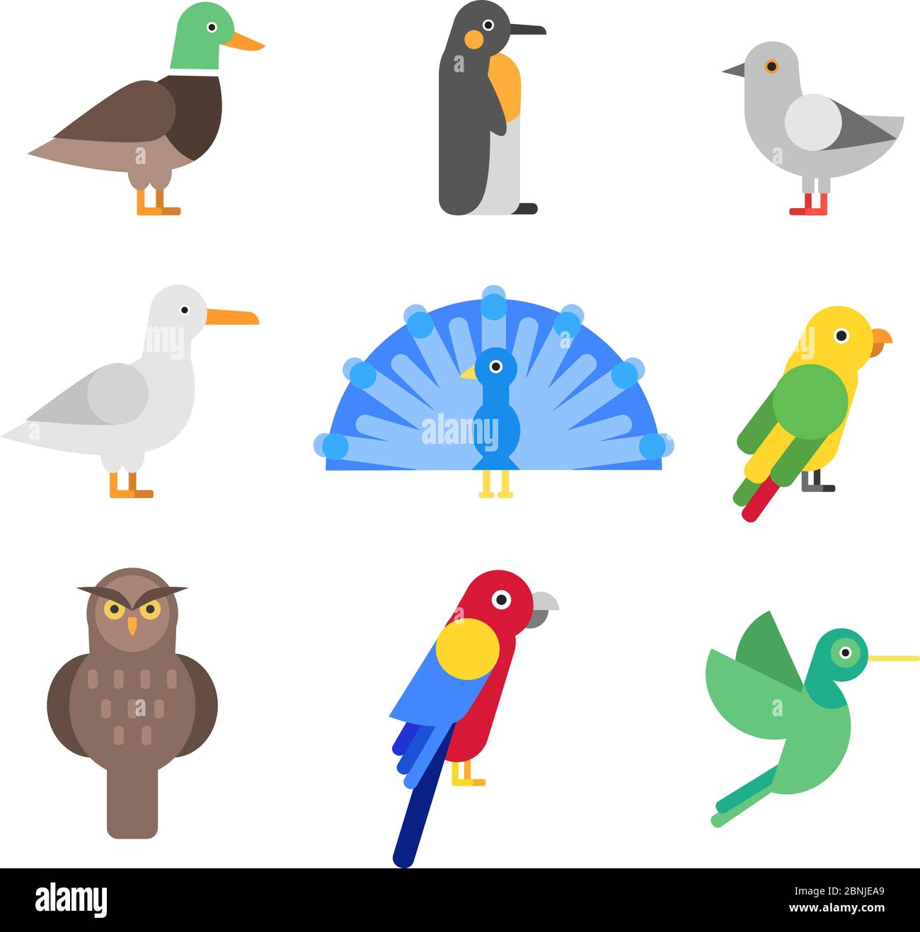 Stylized illustrations of different birds Stock Vector Image & Art - Alamy