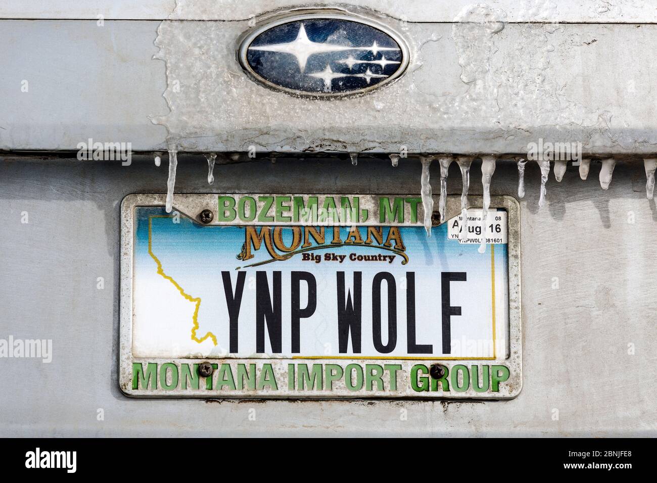 Wolf watcher hi-res stock photography and images - Alamy