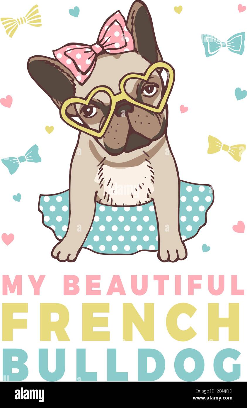 Funny french bulldog hi-res stock photography and images - Alamy