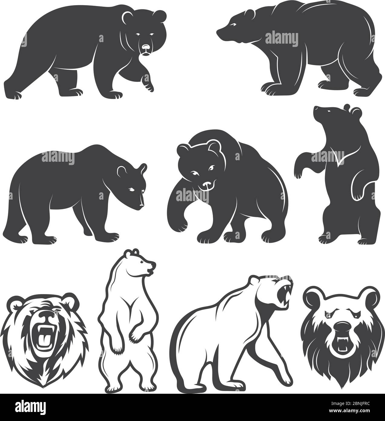 Illustrations of bears. Vector animals set Stock Vector Image & Art - Alamy