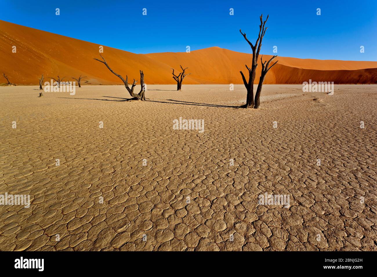 Sossusvlei namibia landscape Stock Photo - Alamy