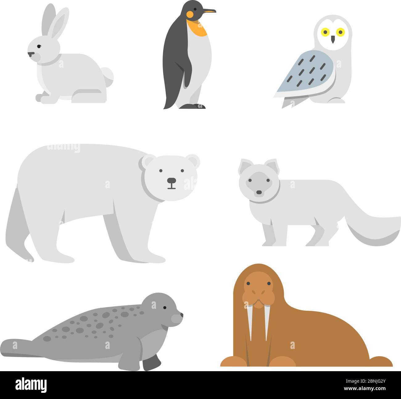 Vector illustrations of arctic snow animals Stock Vector Image & Art ...