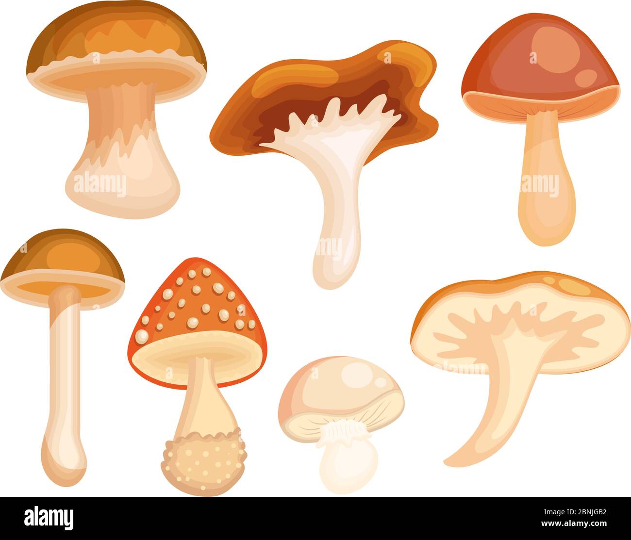 Cartoon mushroom set Stock Vector Image & Art - Alamy