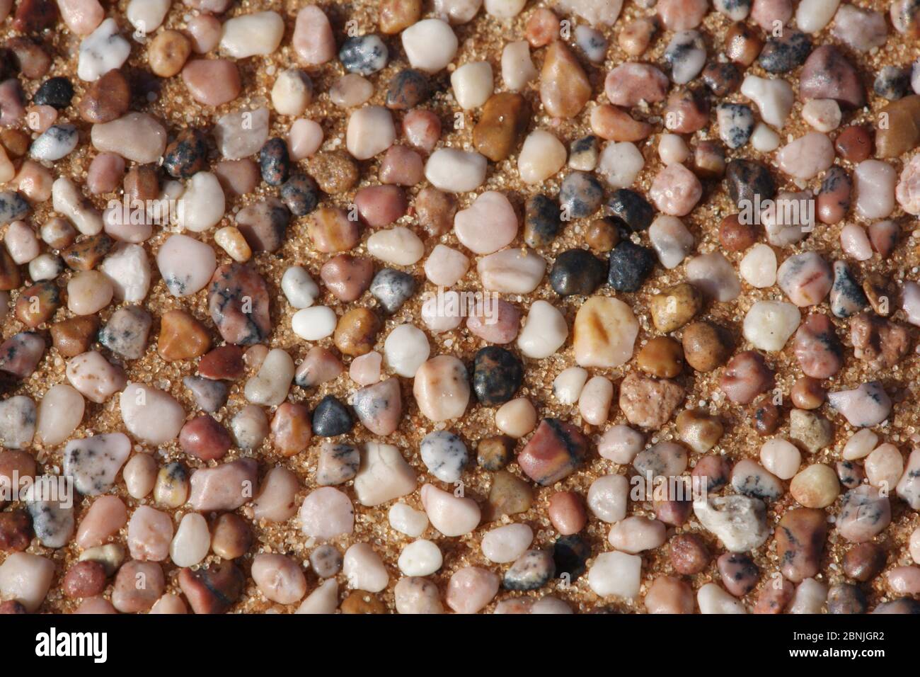 Grains of sand hi-res stock photography and images - Alamy