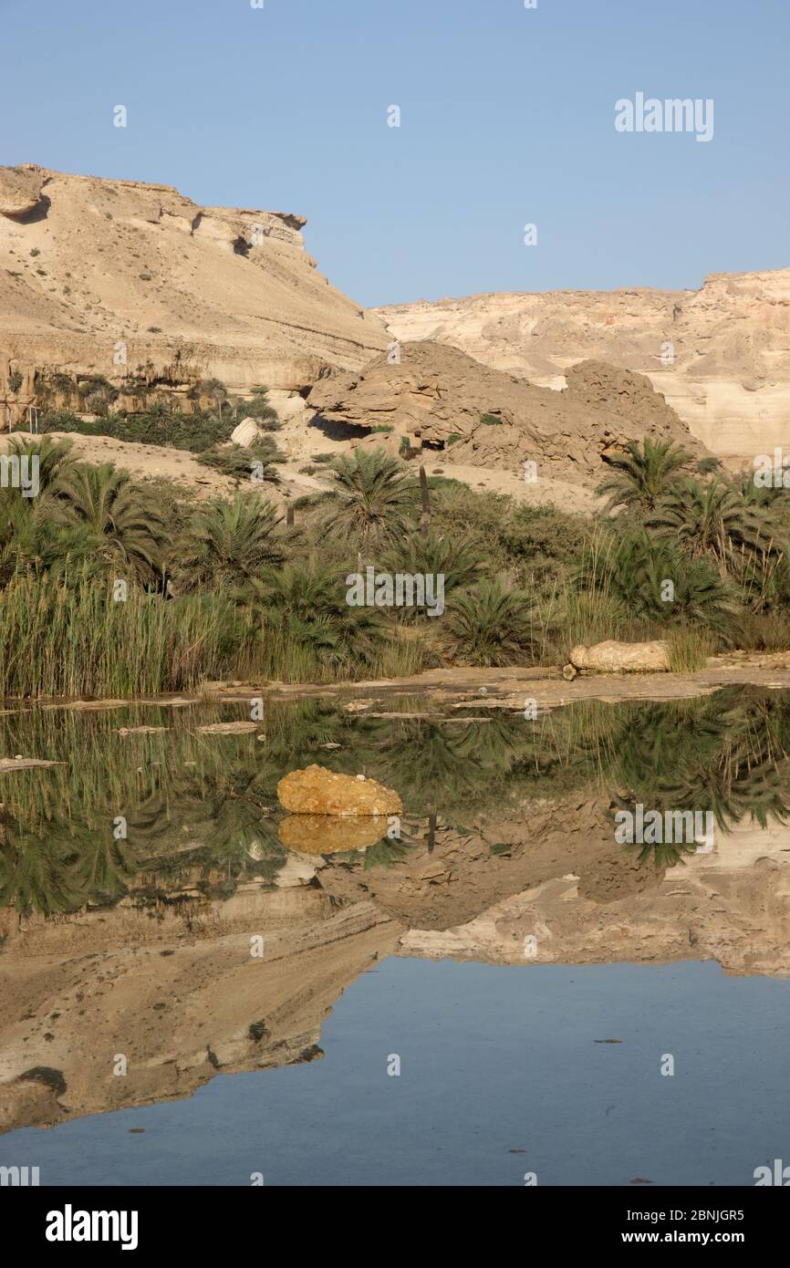 Dry wadi with a pool hi-res stock photography and images - Alamy