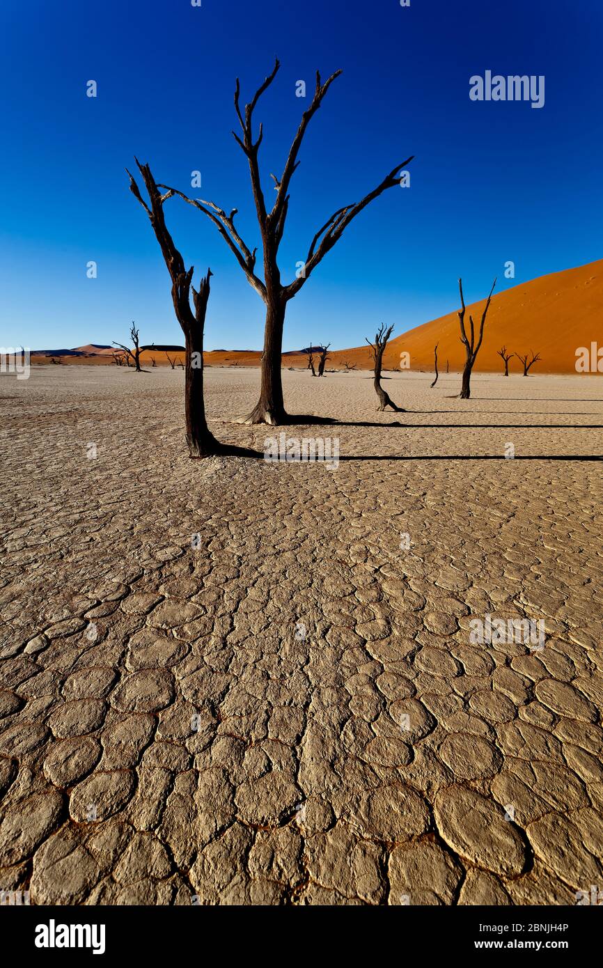 Sossusvlei namibia landscape Stock Photo - Alamy