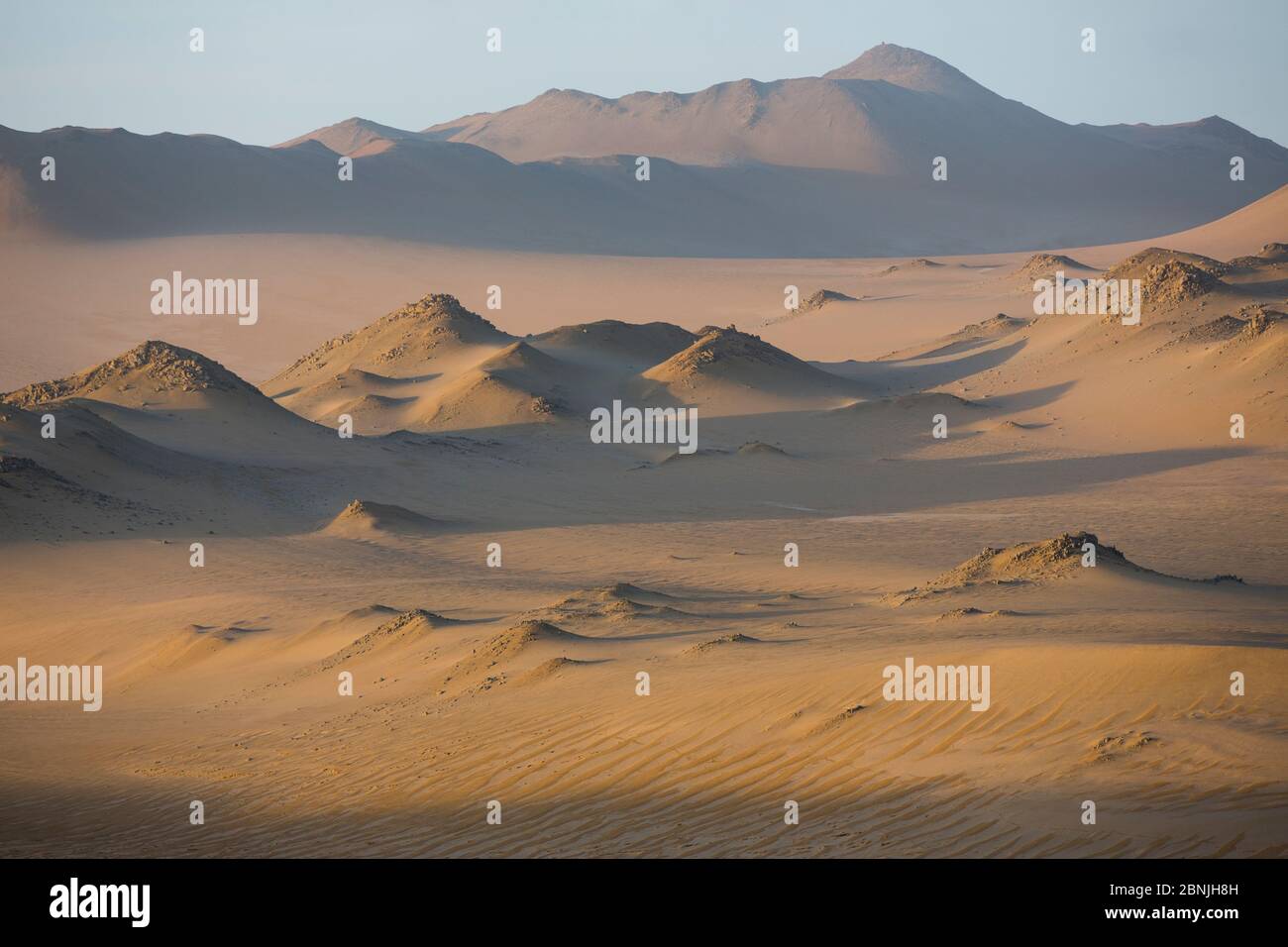Paracas national reserve peru hi-res stock photography and images - Alamy