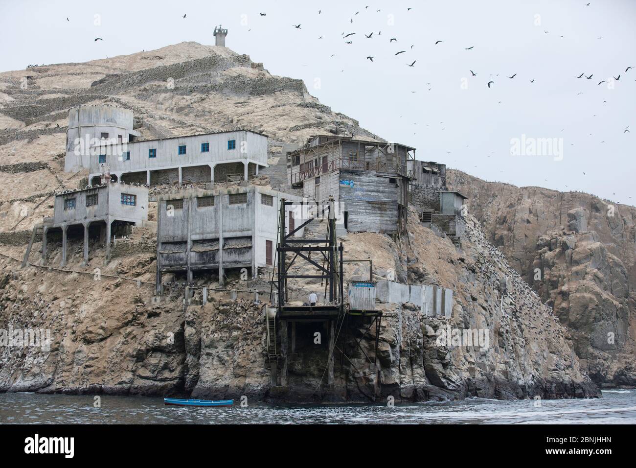 Guano peru hi-res stock photography and images - Alamy
