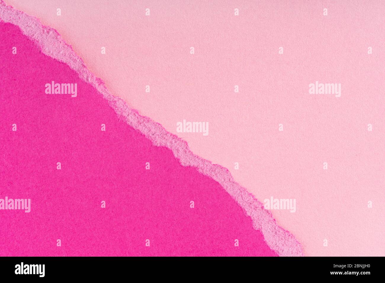 Pieces of torn ragged purple paper edges on pink background. Ripped ...