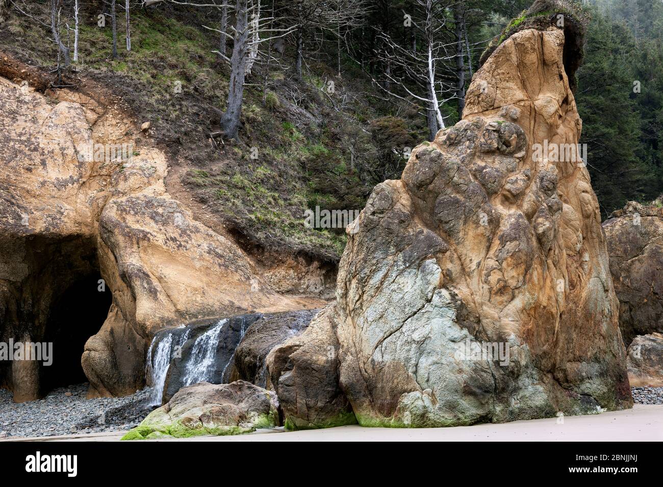 Waterfall at Hug Point, Hug Point State Park, Oregon, USA. April 2016 ...